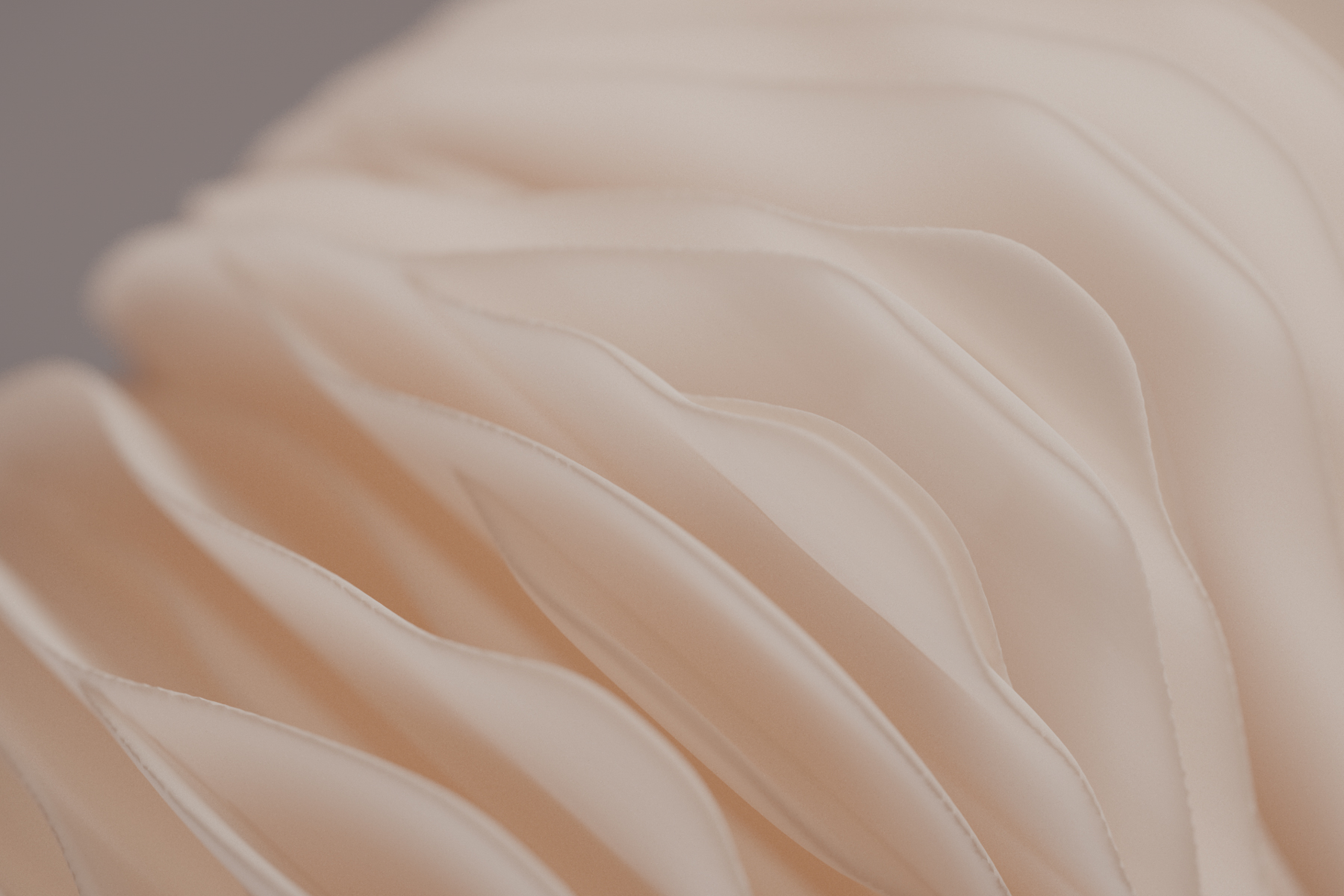 Windows 11 Themes - Six N. Five