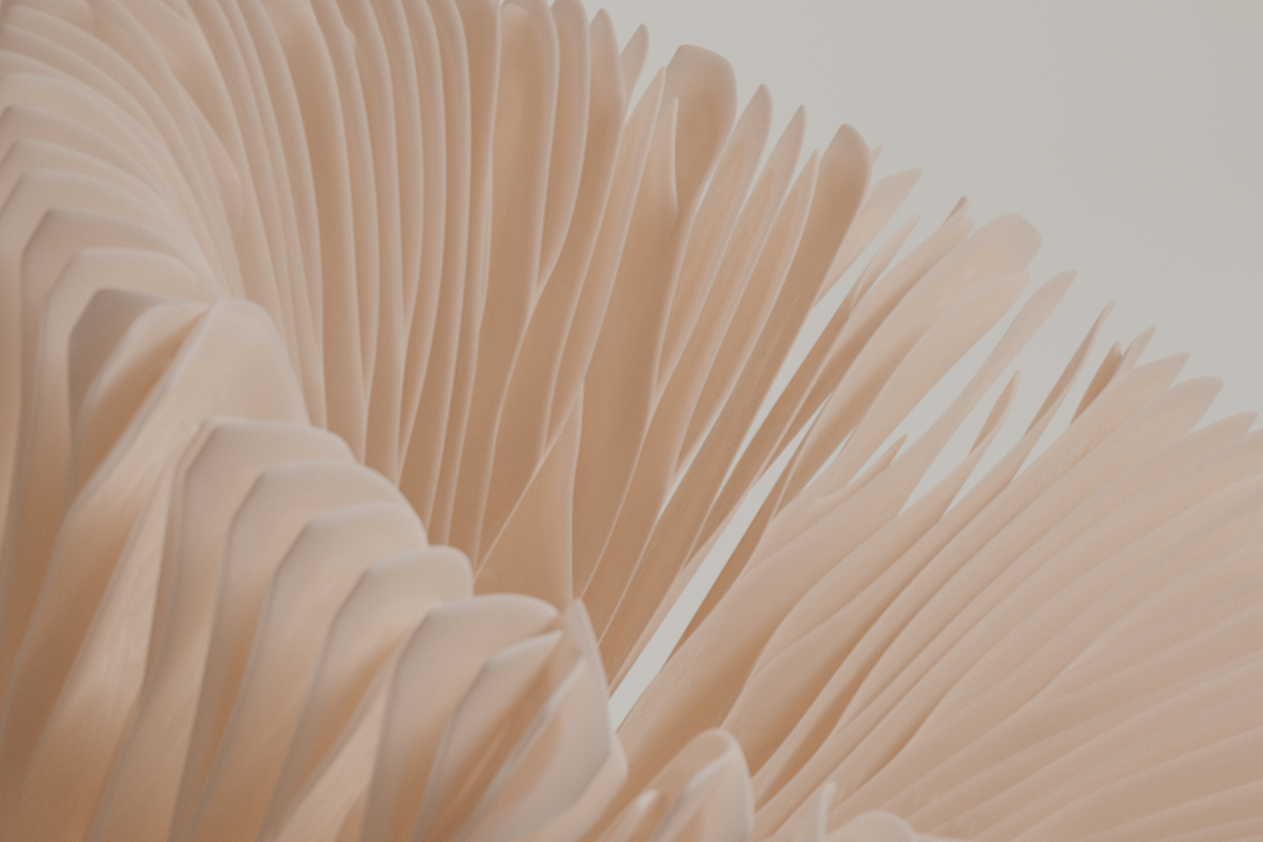 Windows 11 Themes - Six N. Five