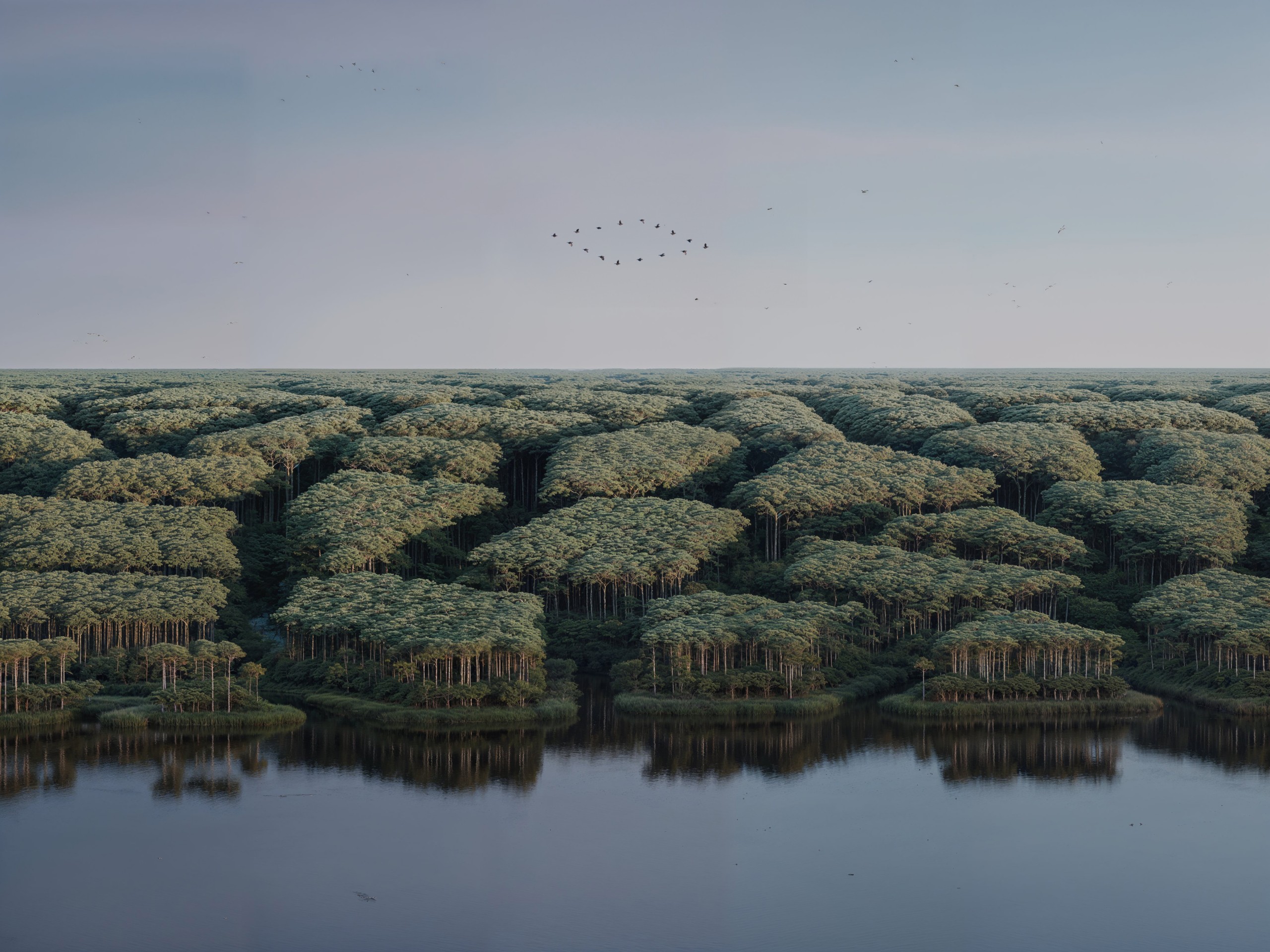 Species - Six N. Five